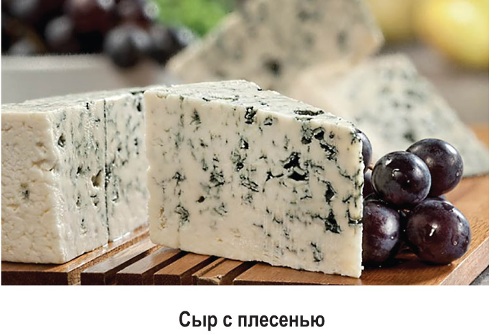 15—1. Опасные для здоровья человека микроскопические грибы (микромицеты ...